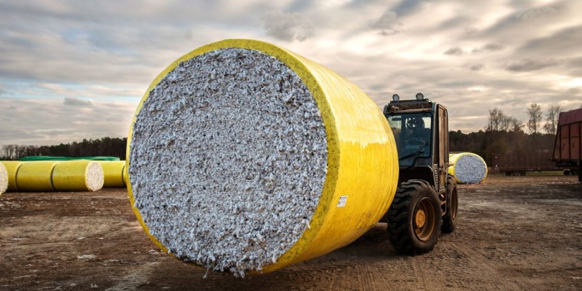 Homemade cotton cloth | Fortune