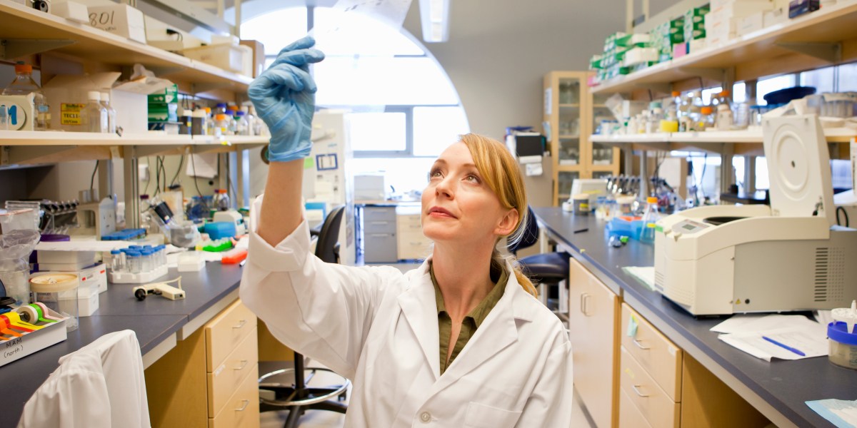 When DNA is the Matchmaker | Fortune