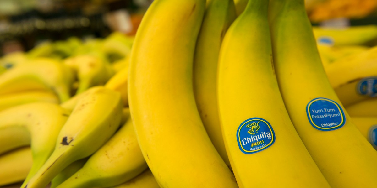 The best-selling fruits in America | Fortune