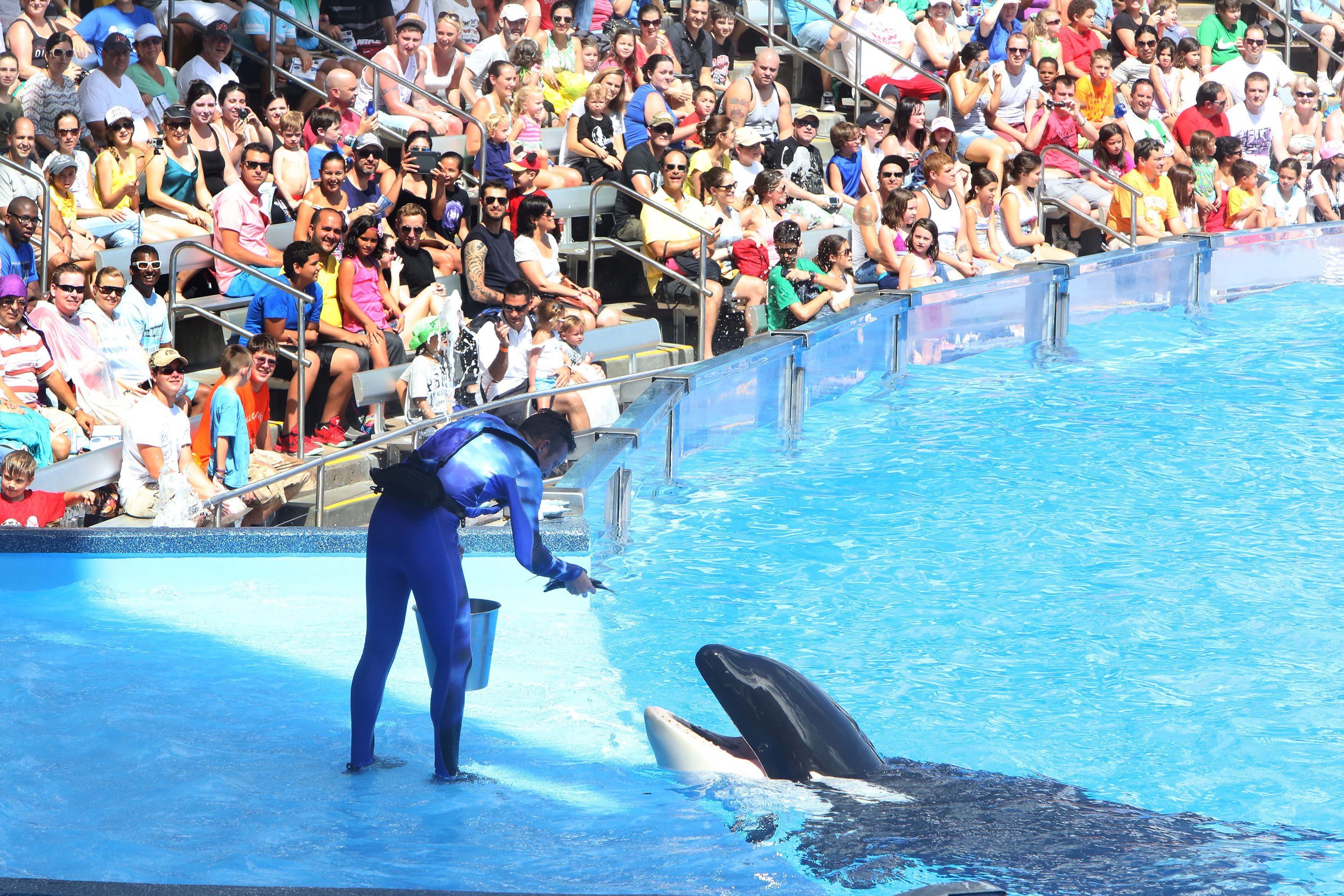 PETA Accuses SeaWorld Of Spying | Fortune