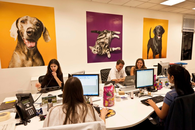The 12 Best Companies For Pet-Loving Employees | Fortune