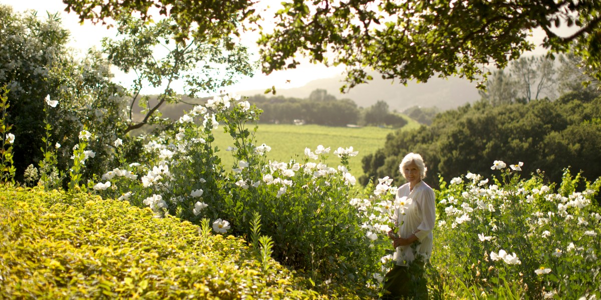 Molly Chappellet is living the Napa Valley dream | Fortune