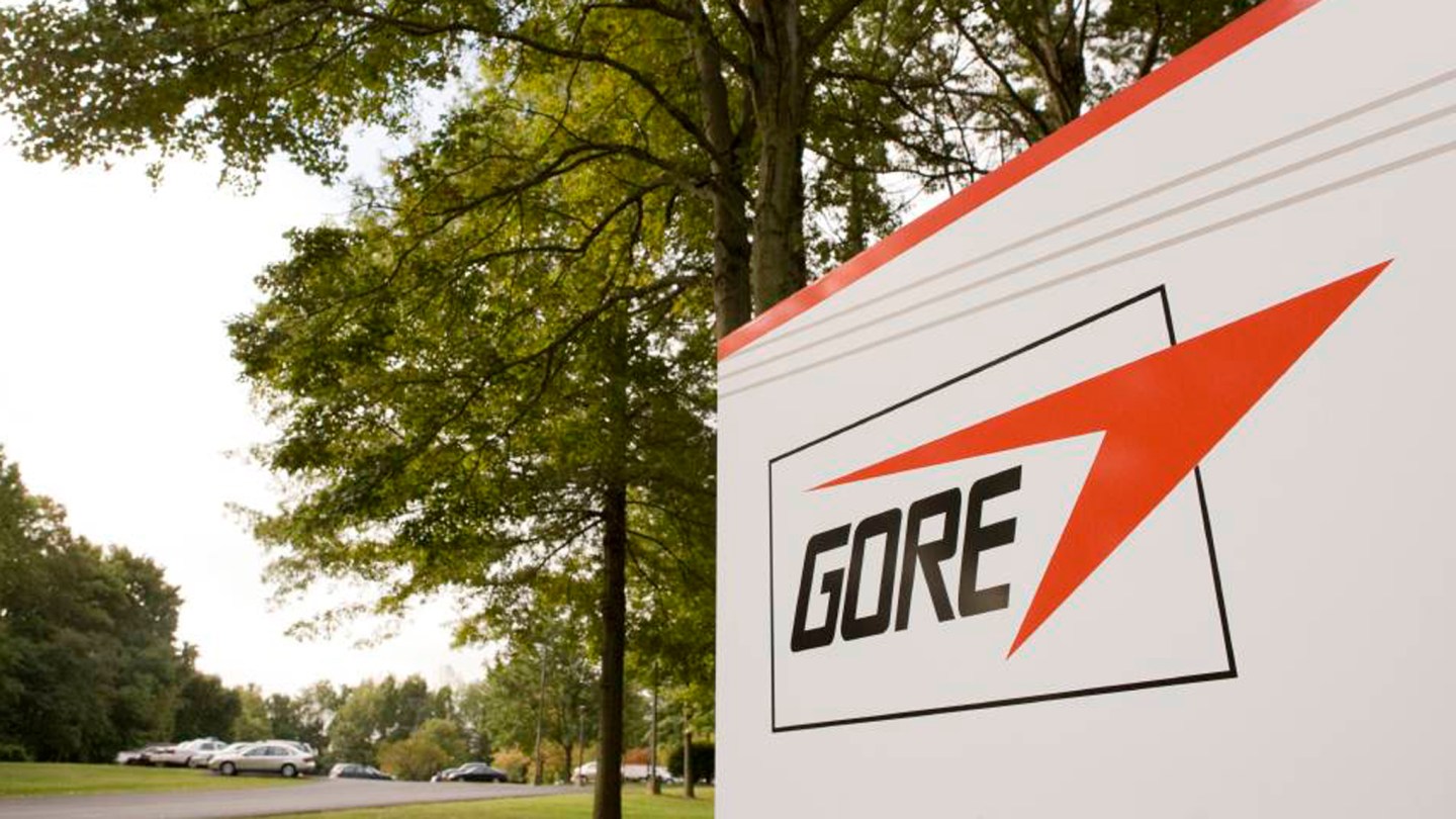 W.L. Gore | 2015 25 Best Global Companies to Work For | Fortune