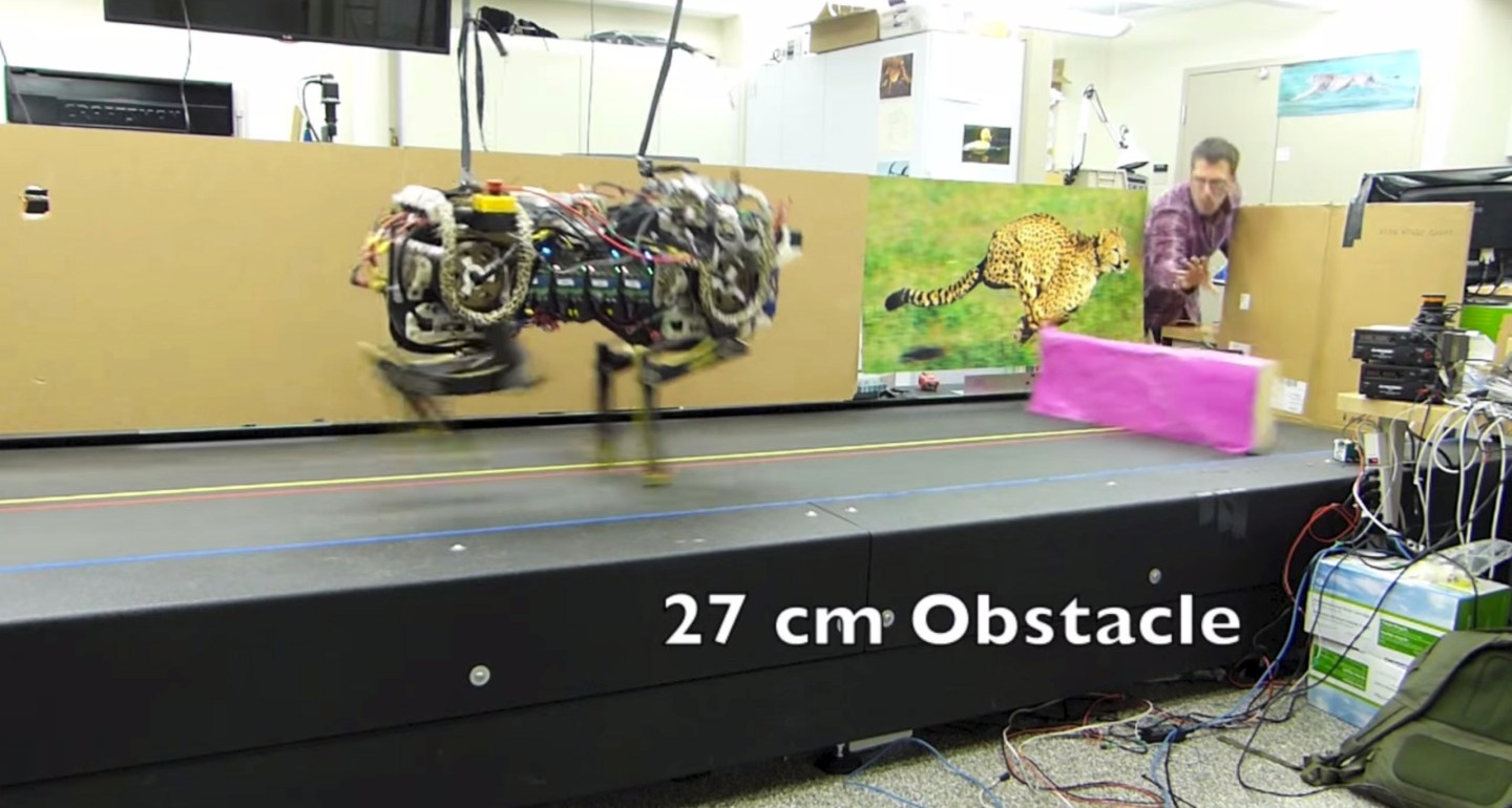 MIT's Robotic Cheetah Can Autonomously Leap Over Obstacles | Fortune