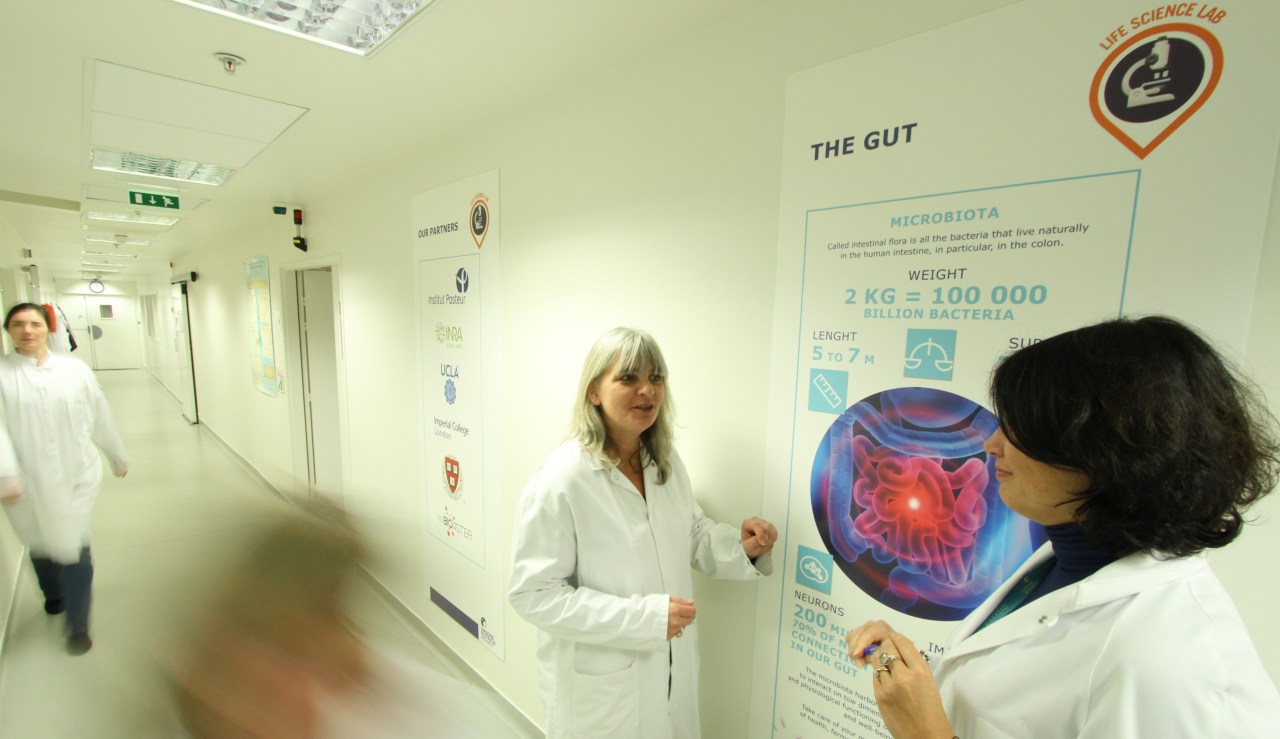 How Danone gets the right bacteria in your yogurt | Fortune