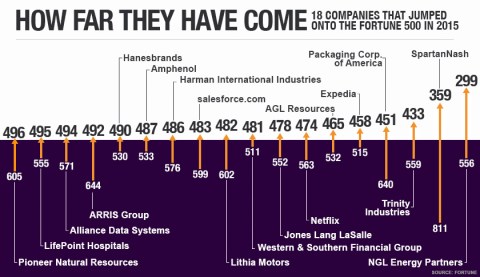 Fortune 500 new companies on the list | Fortune