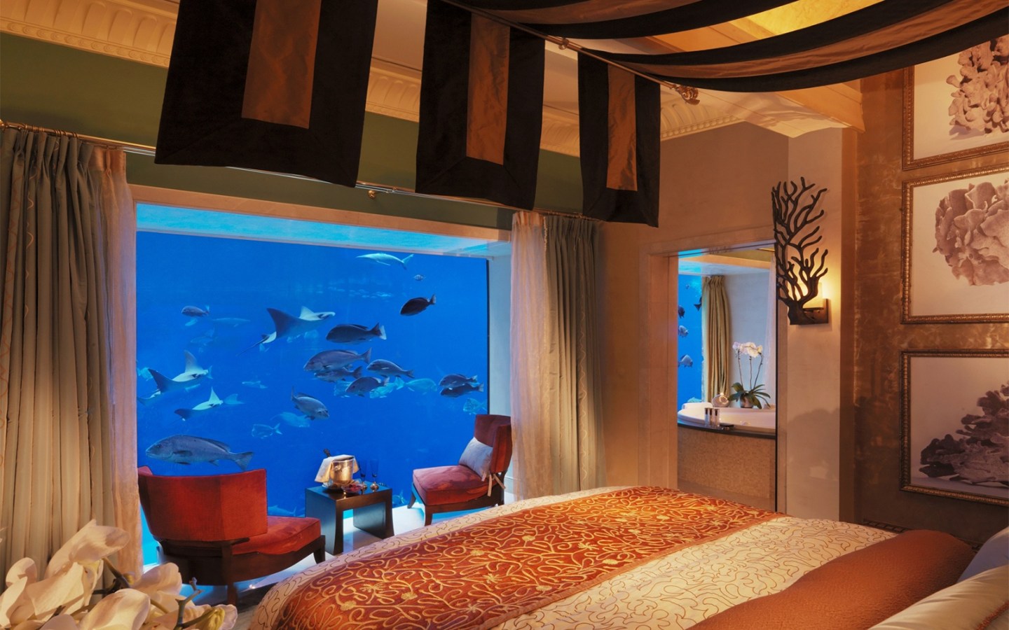 This is what a luxurious, underwater hotel suite looks like | Fortune
