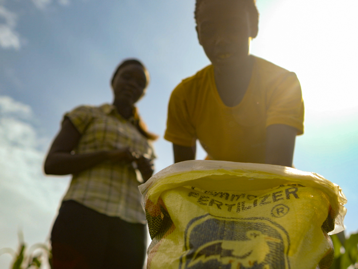 Bill Gates is excited about 'scuba rice' | Fortune