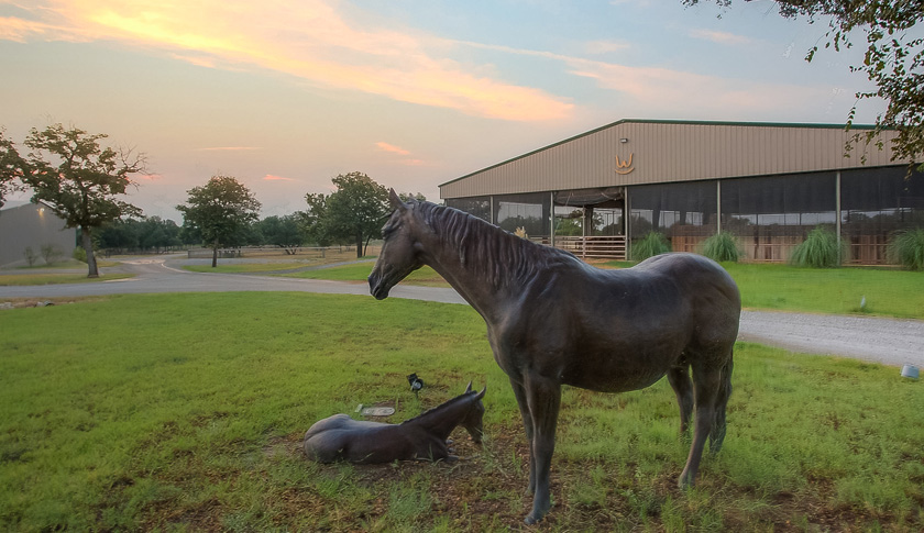 Walmart heiress Alice Walton selling ranches for $48 million | Fortune