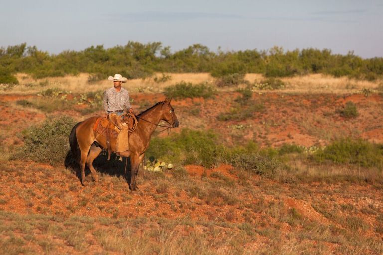 W. T. Waggoner Estate: Venerable, $725 million ranch about to be sold ...