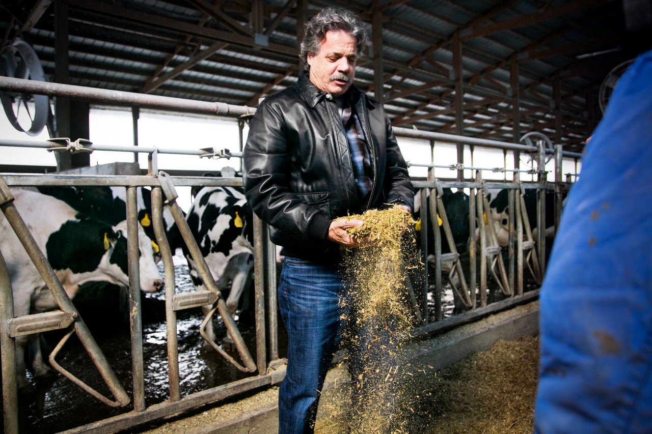 How Dairy Farm Fair Oaks Turns Manure Into Fuel to Fight Pollution ...