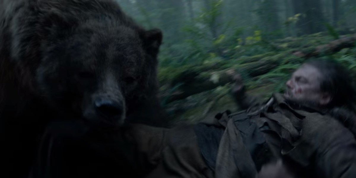 What Leonardo DiCaprio Can Teach You About Surviving The Bear Market ...
