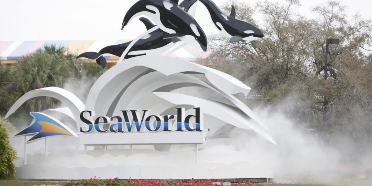 SeaWorld Shakes Up Leadership Team Amid Struggles | Fortune