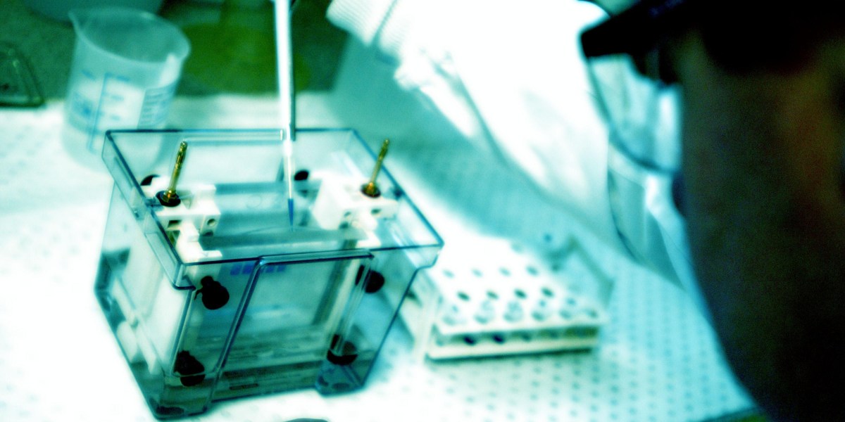 Biotech Stocks: 5 Best Performing So Far This Year | Fortune