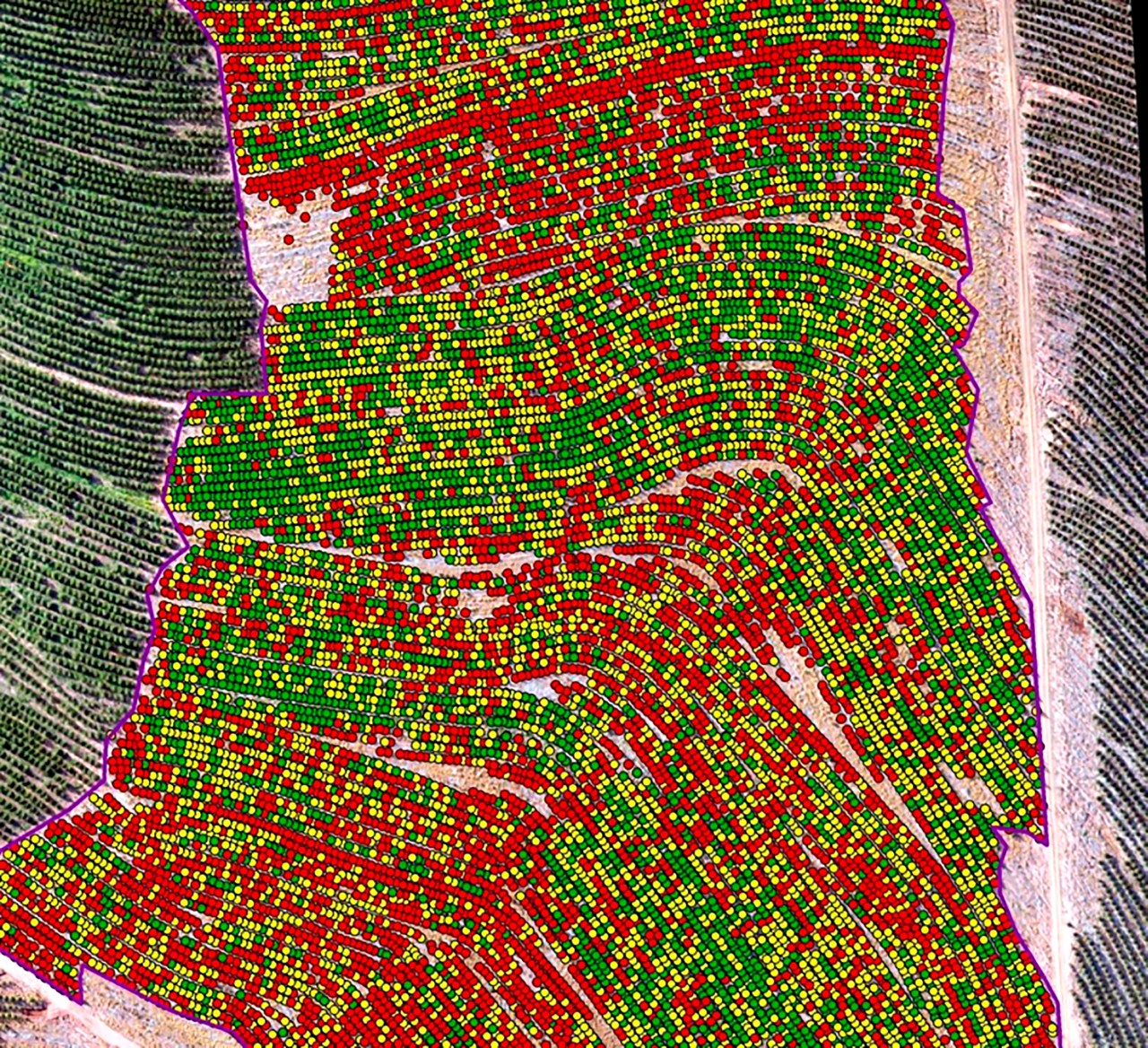 What Happens When You Combine AI and Satellite Imagery | Fortune