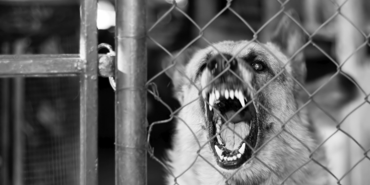 Apple's Vicious Guard Dog | Fortune