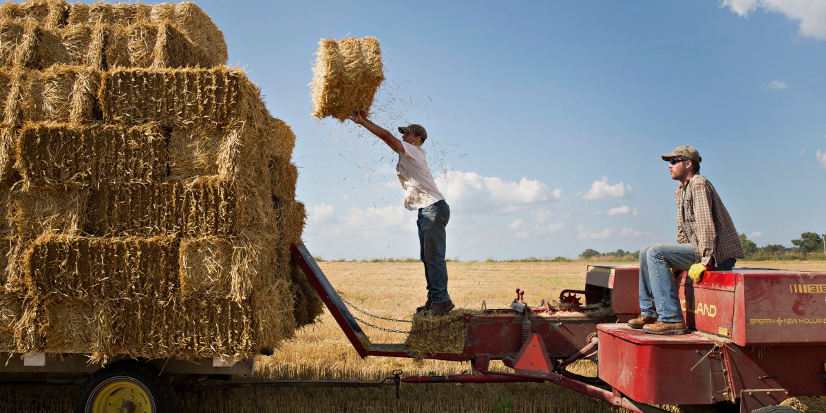 Farmers Get the Largest Federal Aid In a Decade As Crop Sales Slump ...