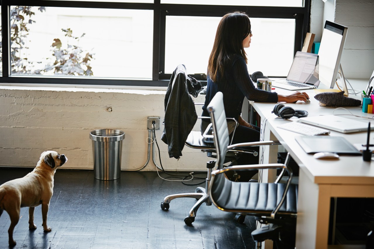 VP of Scale Venture Partners: Key to Startup Success | Fortune