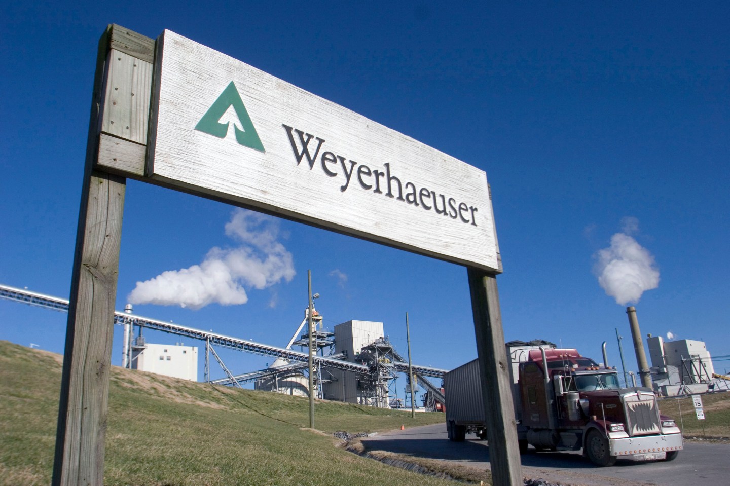 International Paper Is Buying Weyerhaeuser's Pulp Business | Fortune