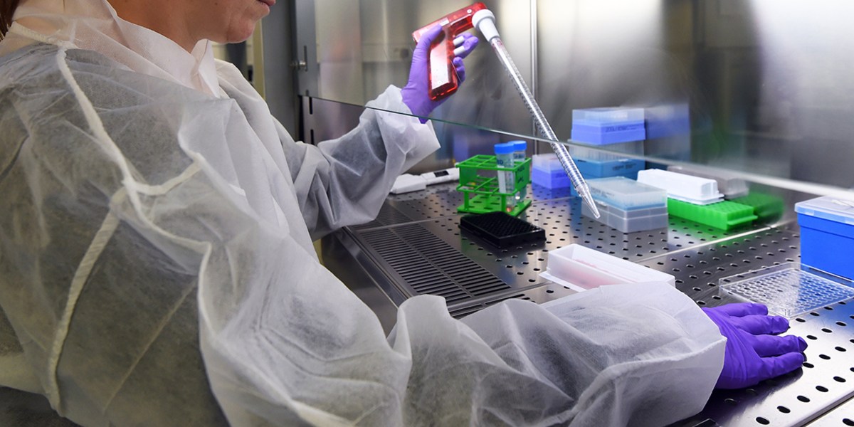 Roche Group | Fortune