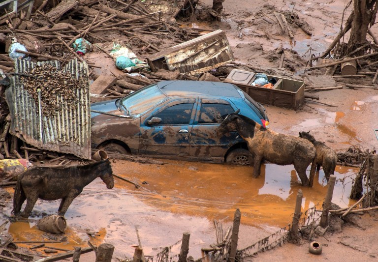 Probe Finds Samarco Disaster Was Caused By Poor Drainage and Design ...