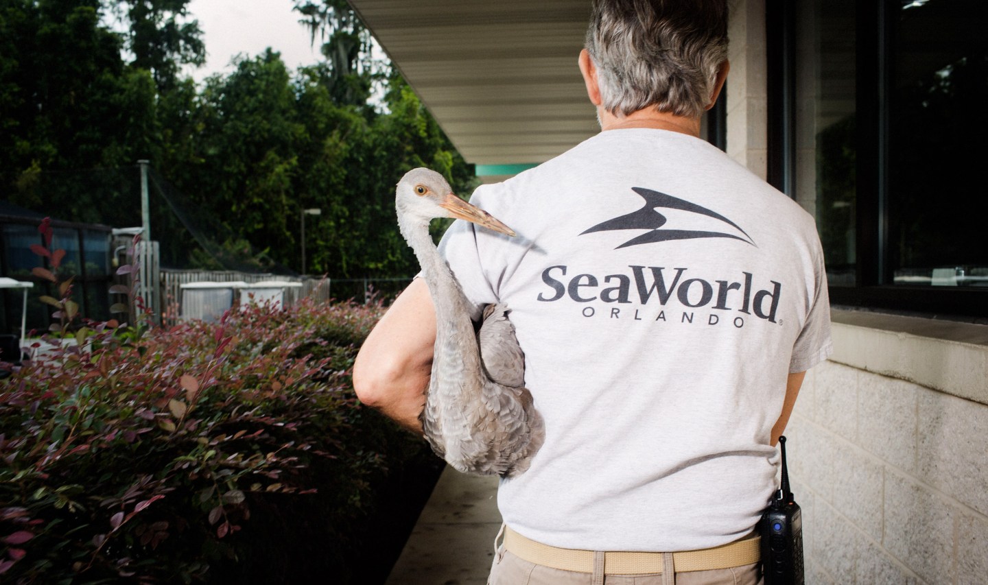 Meet the Man Trying to Save SeaWorld From Itself | Fortune