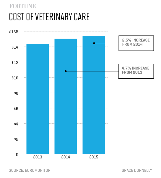 Pet Health Care Is Getting More Advanced and Expensive. | Fortune