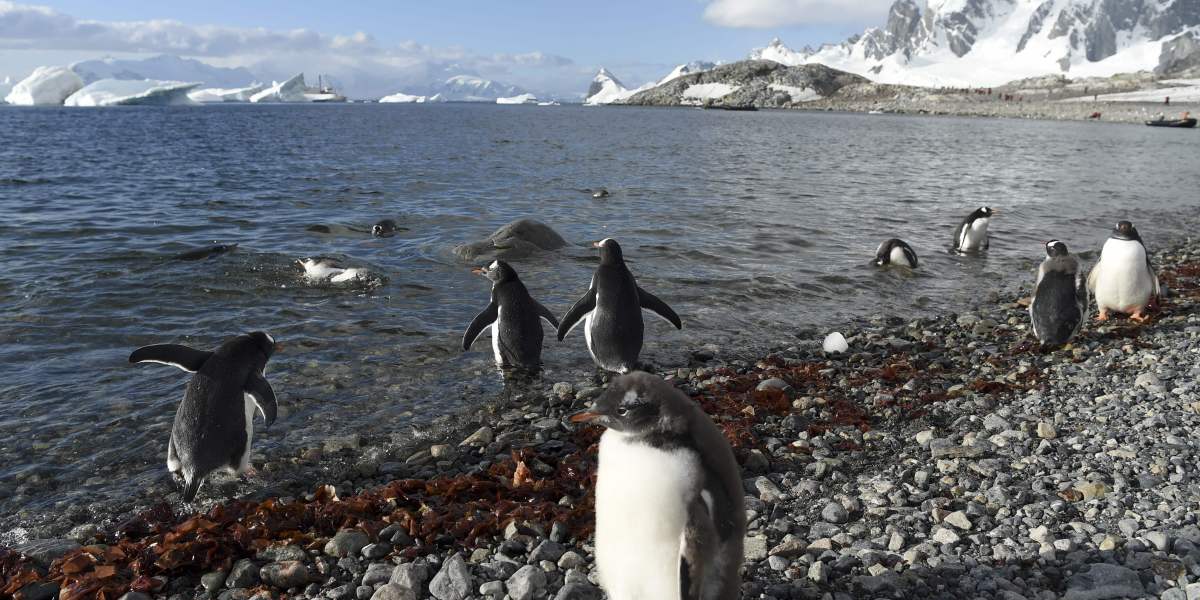 How to price a tax against carbon emissions | Fortune