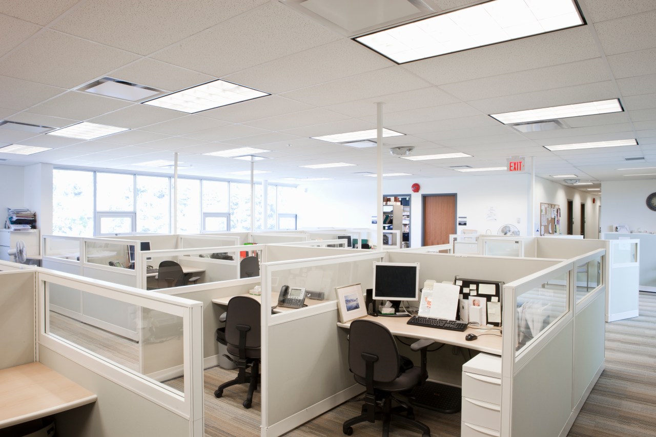 It’s Time to Bring Back the Office Cubicle | Fortune