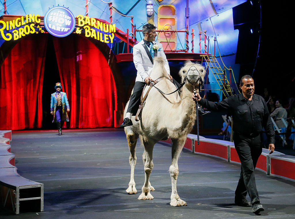 Ringling Brothers Circus: Final Show Tickets Sell for $2,000 | Fortune