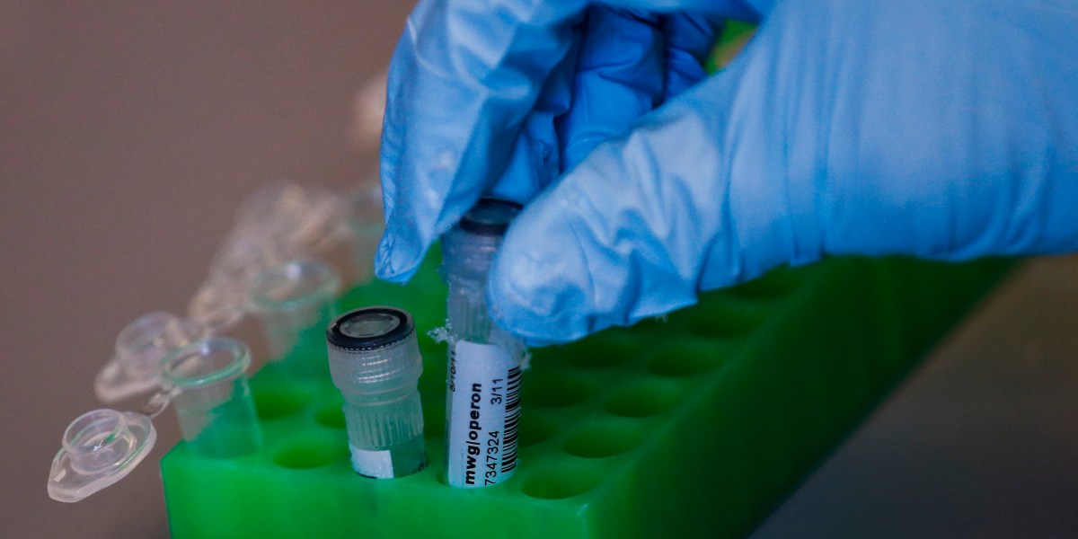 Researchers Discover a Way to Rejuvenate Aging Cells | Fortune