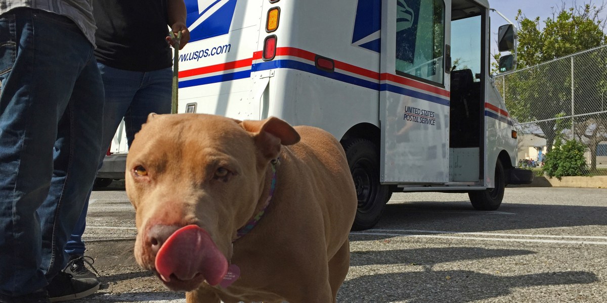Dog Attacks on Postal Workers Rise With Online Retail Boom | Fortune