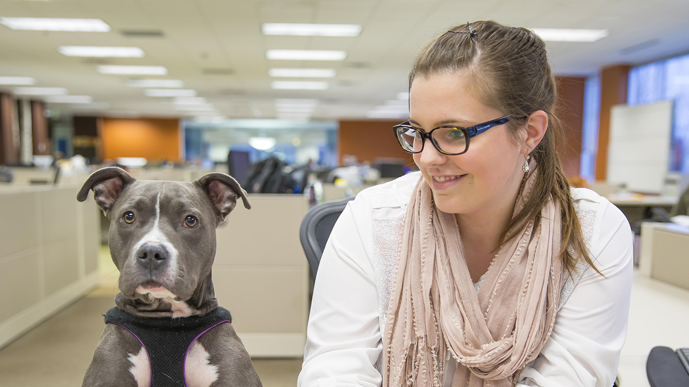 Mars Company Profile, Stock Price, News, Rankings | Fortune