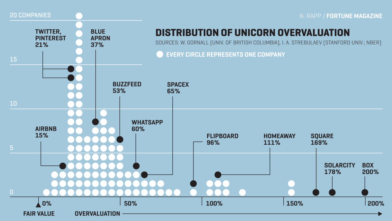 Overvalued Unicorns: What You Need to Know in One Chart | Fortune