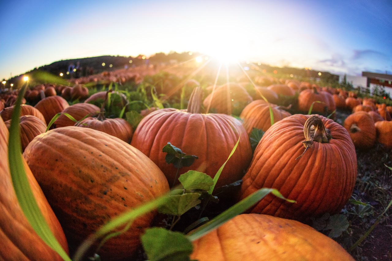 First Day of Fall: What to Do This Weekend | Fortune