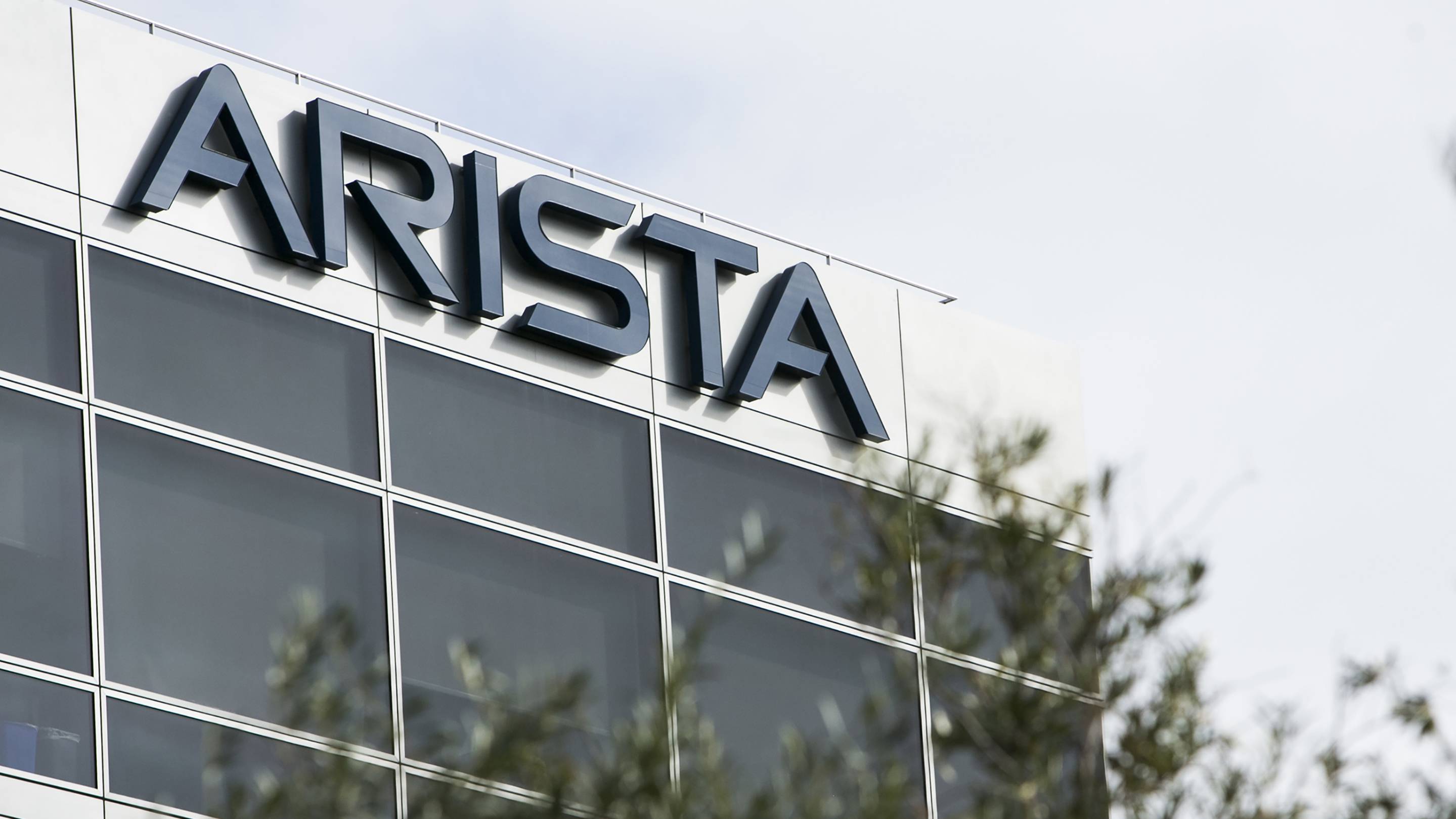 Arista