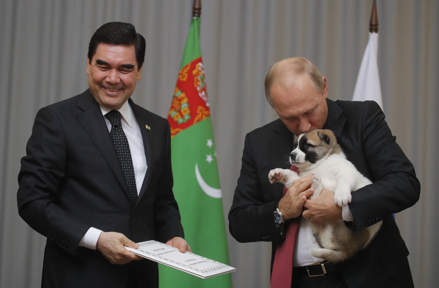 Photos: Vladimir Putin Plays With New Puppy (And Other Cuddly Pets ...