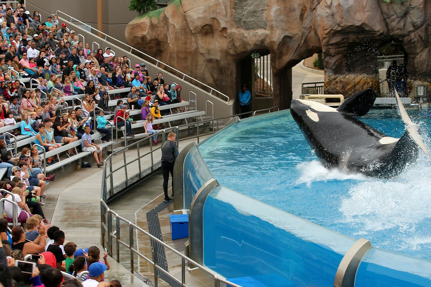 SeaWorld | Fortune