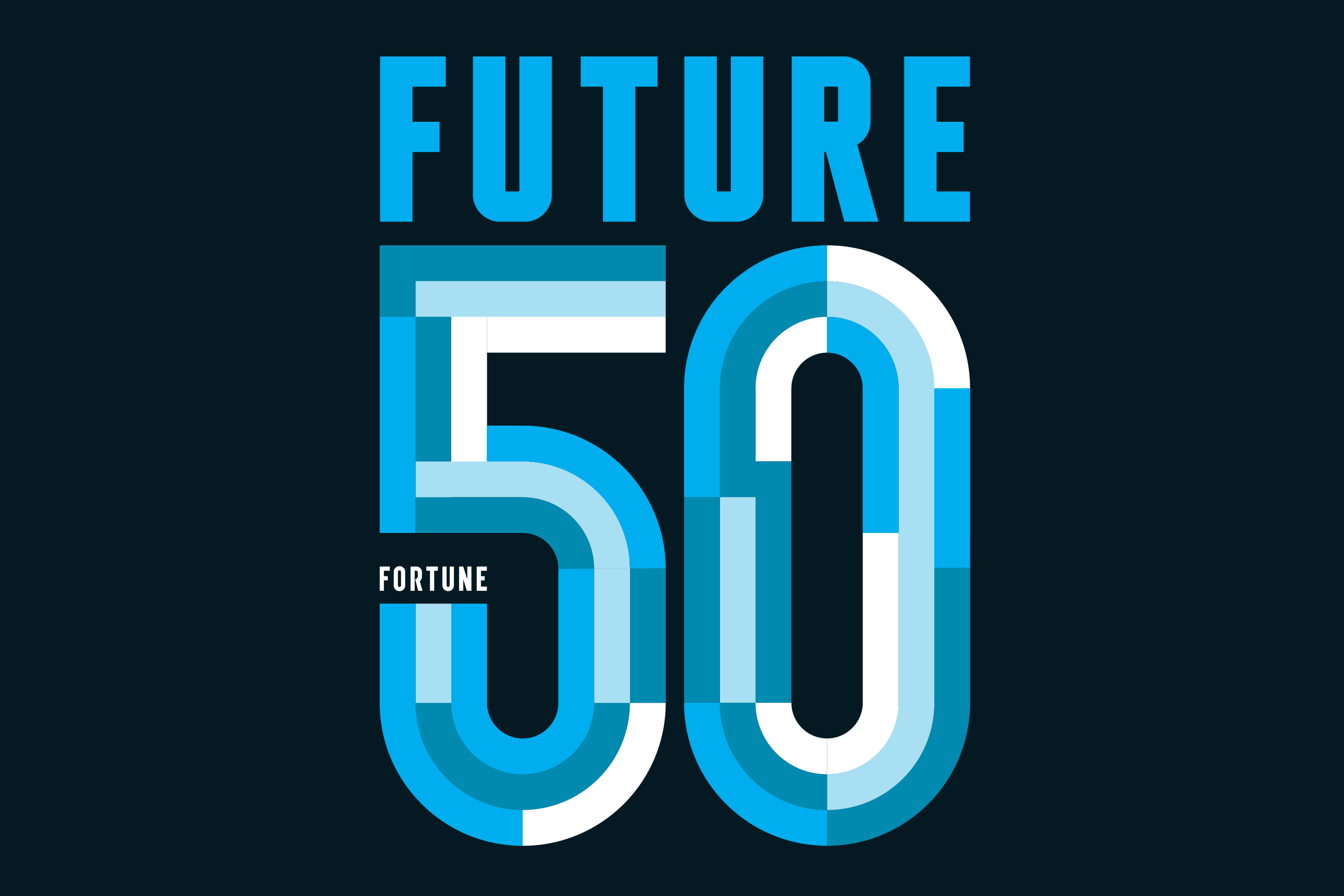 How fortune's future 50 positioned themselves for growth, even in a