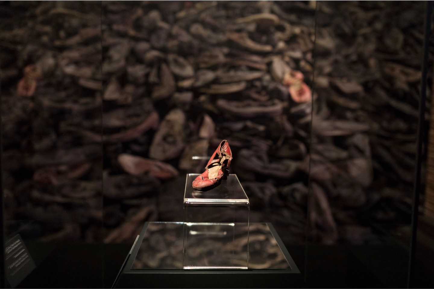 Largest U.S. Exhibit Ever About the Holocaust Opens in New York | Fortune