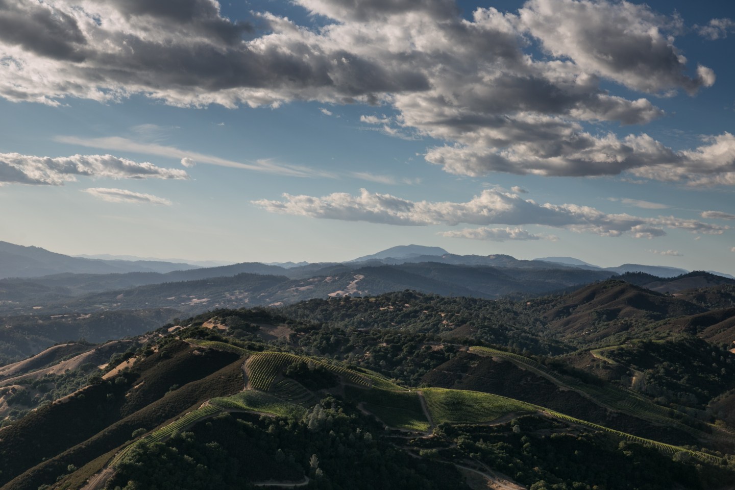 Napa Mountain Wines Have Just as Much to Offer as Napa Valley Bottles ...