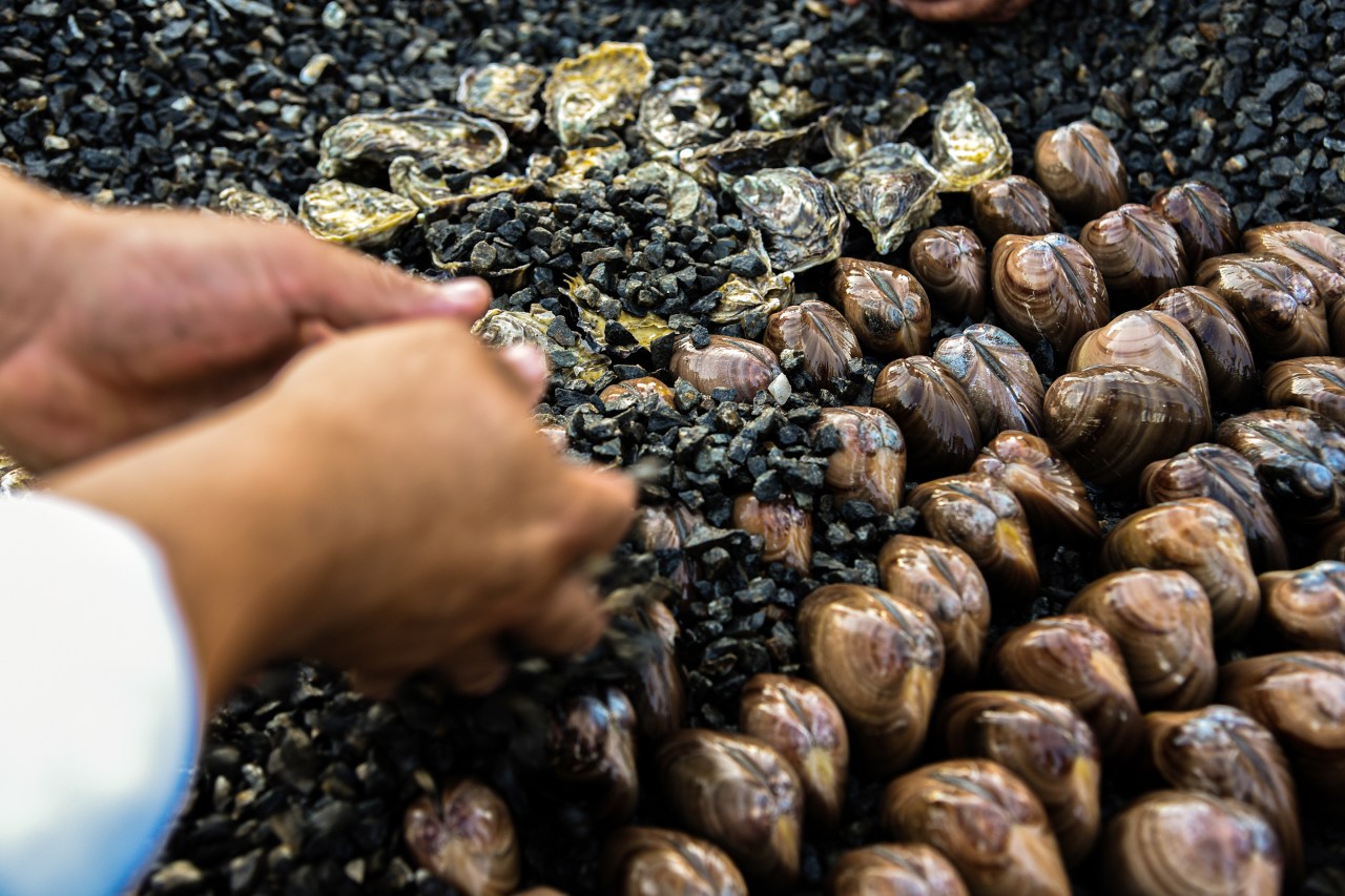 Charred Chocolate Clams: The Secrets of Baja California's Signature ...