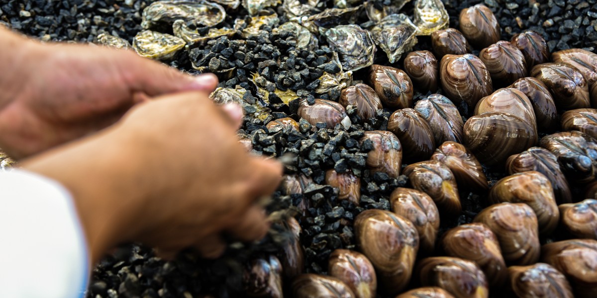 Charred Chocolate Clams: The Secrets of Baja California's Signature ...