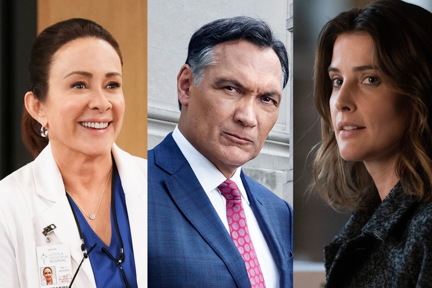 Fall TV Preview 2019: Familiar Faces in New Shows | Fortune