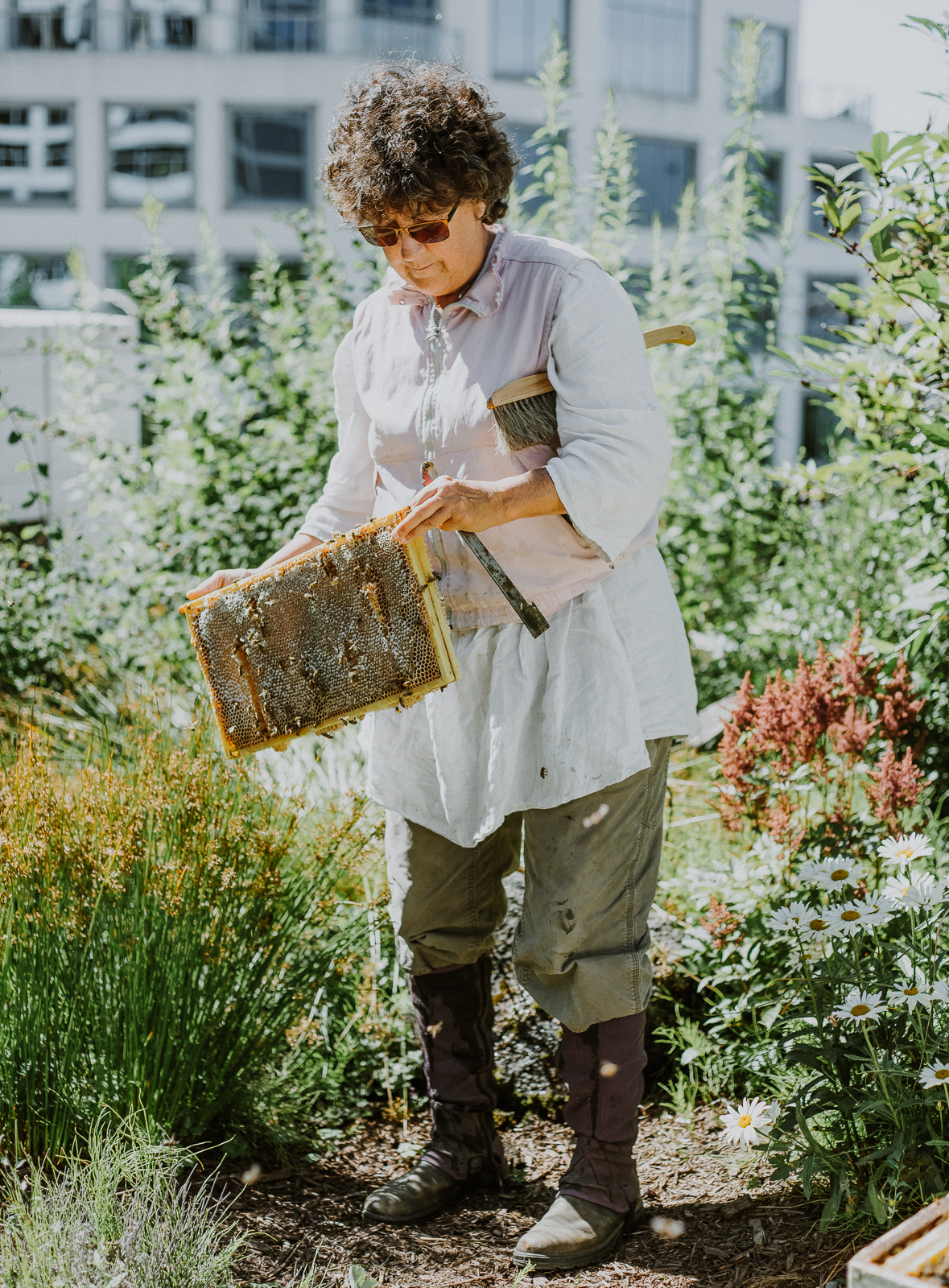 Hotels Like Marriott, Fairmont Working to Save the Bees with Rooftop ...