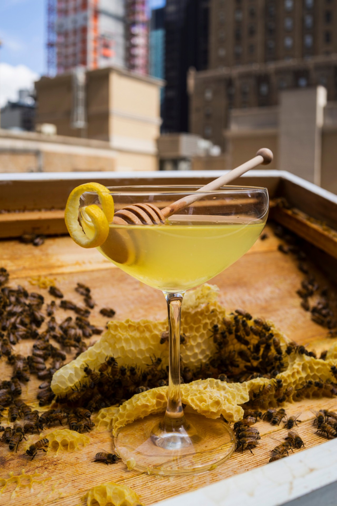 Hotels Like Marriott, Fairmont Working to Save the Bees with Rooftop ...