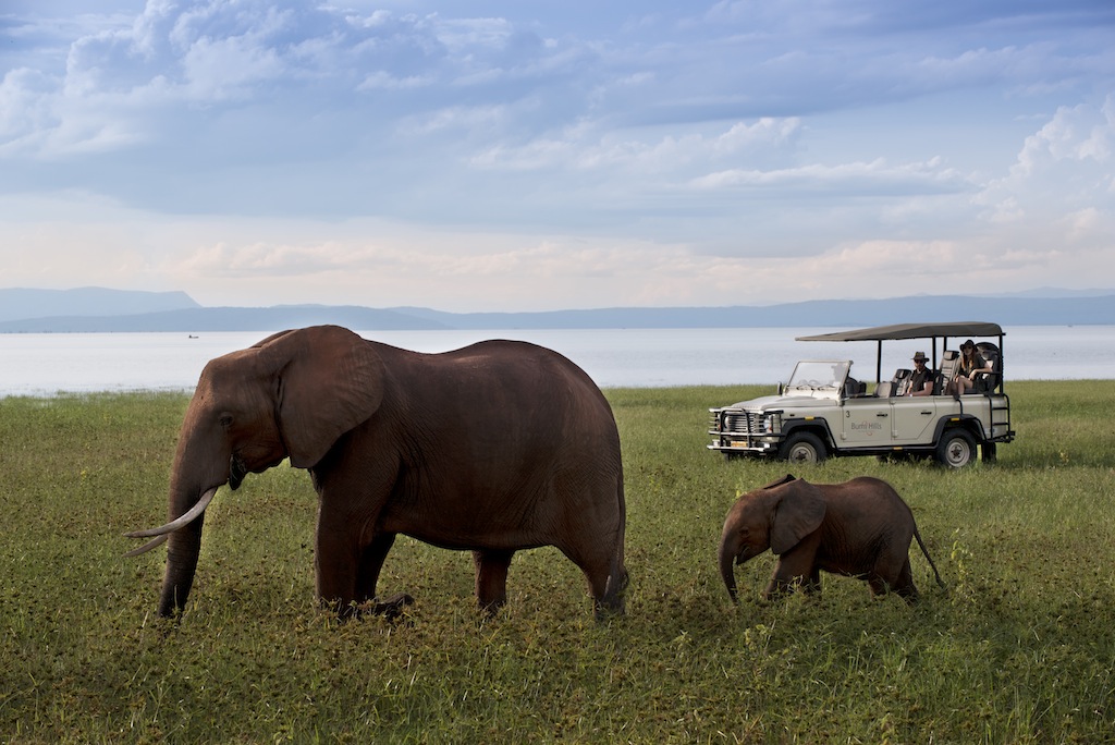 Why Zimbabwe Is Africa’s Best New Safari Destination | Fortune