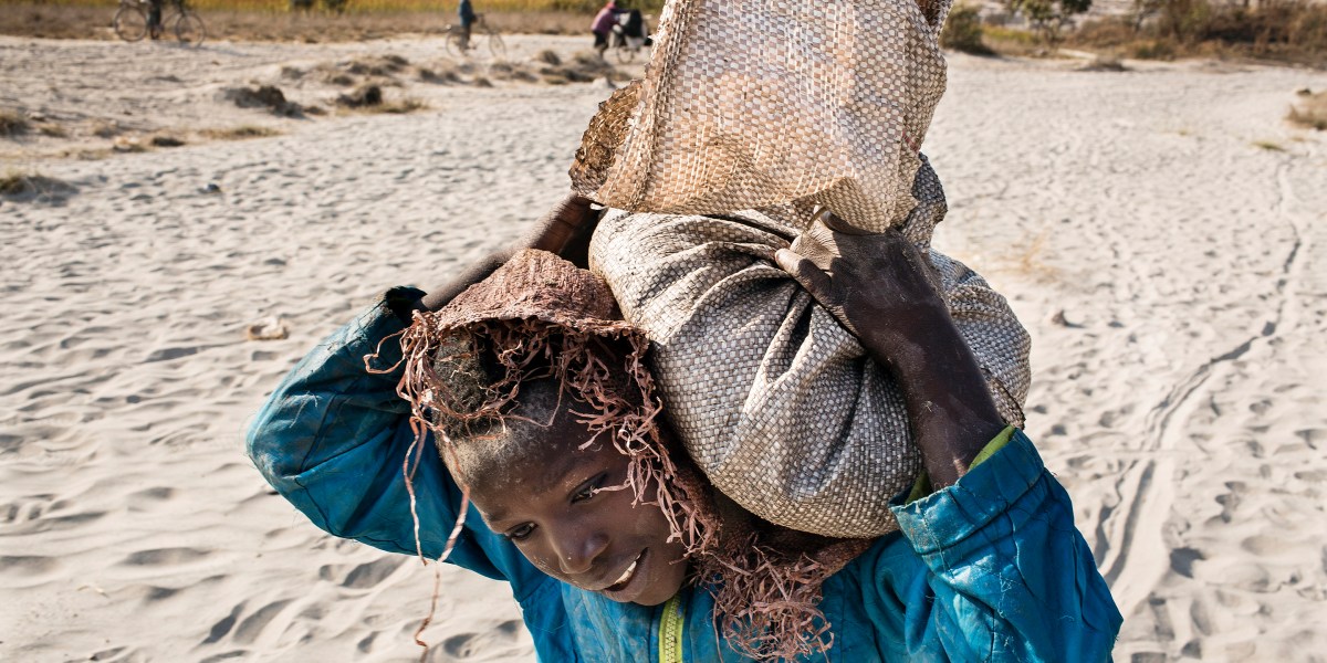 Apple, Microsoft, Tesla, Alphabet, and Dell Sued for Allegedly ...