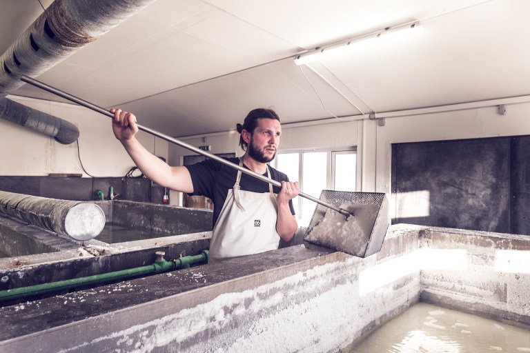 Chefs Love Sustainable Icelandic Sea Salt Saltverk | Fortune