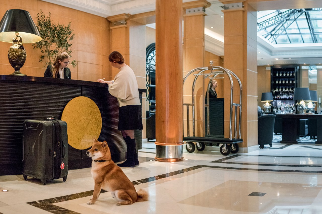 The best big companies to work for 2020 | Fortune